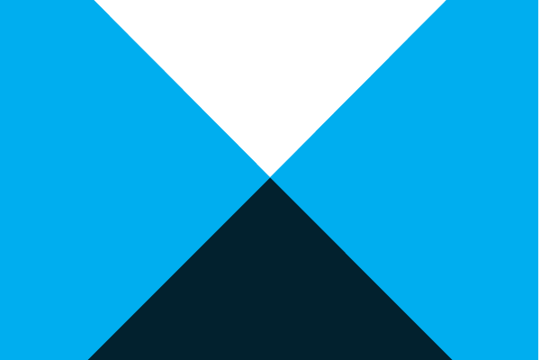 CLARIFICATION ON THE COVERAGE OF AUDIT SUSPENSION UNDER REVENUE ...